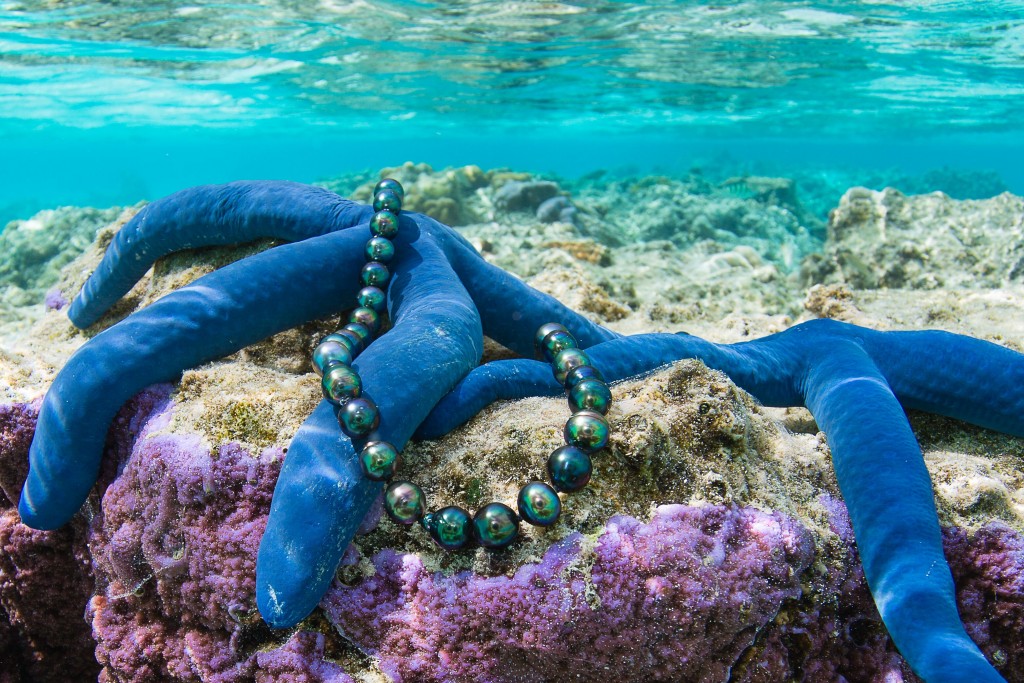 Lust and lustre | Cook Islands pearls | Avaiki perfection | Made in ...